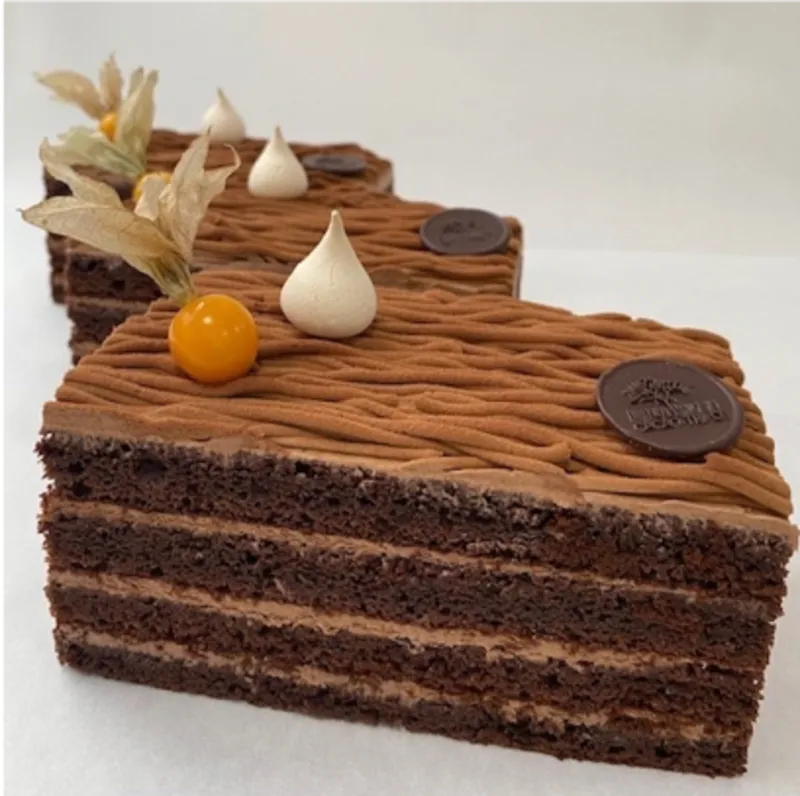 Root Hazelnut Cake - Puratos